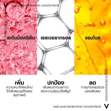 DENSI-SOLUTIONS HAIR MASS RECREATING CONCENTRATE | ผลิตภัณฑ์สำหรับเส้น ...